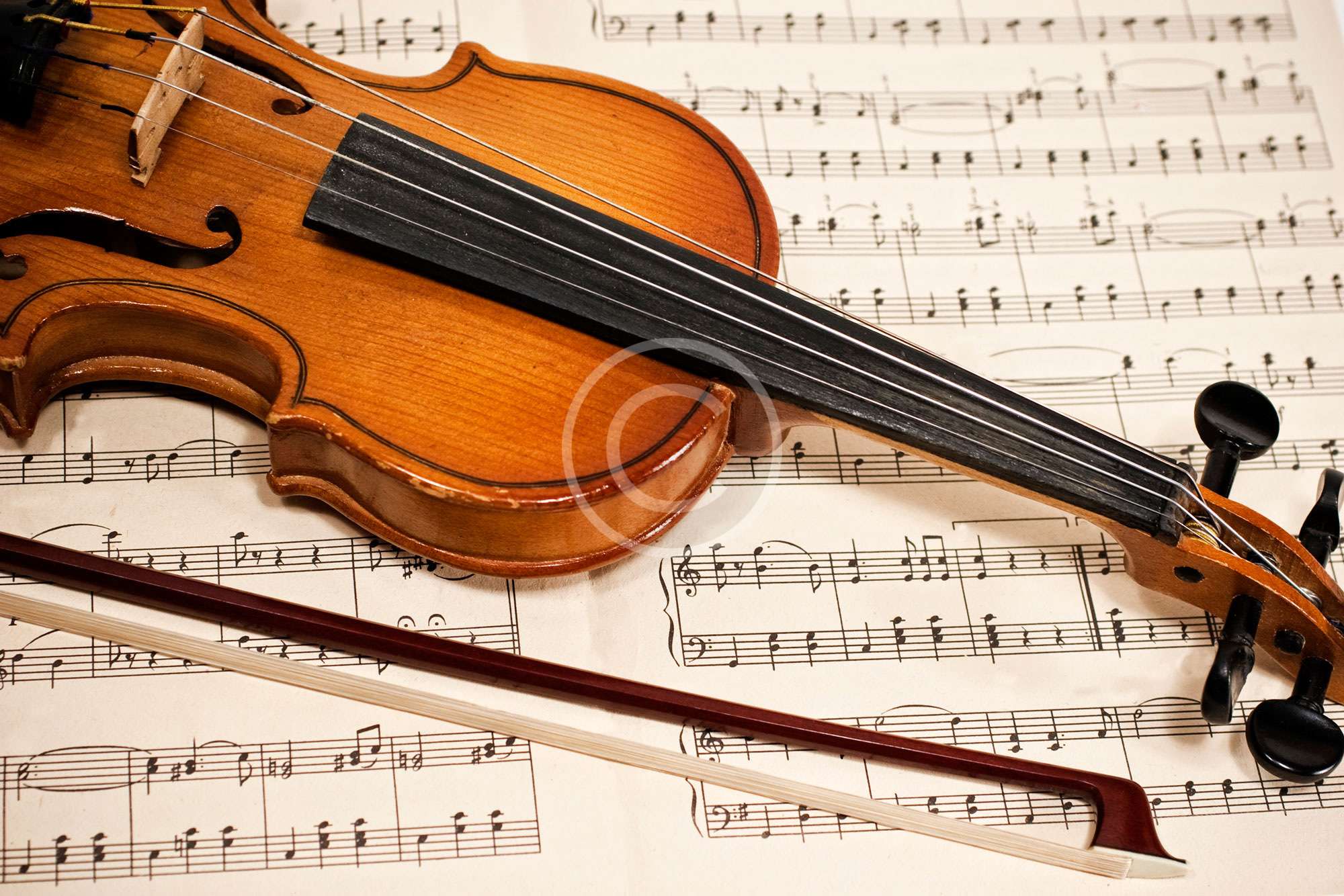 Violino – Protopapa Music Academy